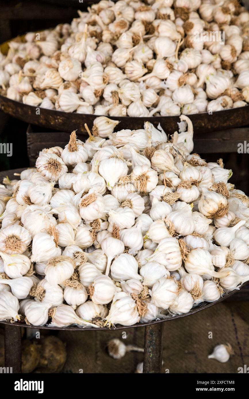 Healthy bulbs hi-res stock photography and images - Alamy