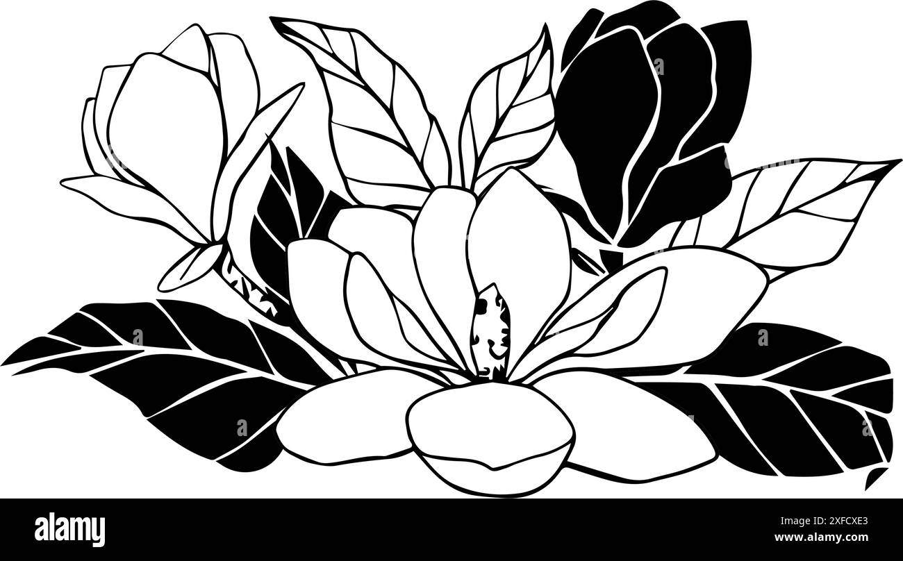 Composition with hand drawn vector magnolia flower, set of contour and ...