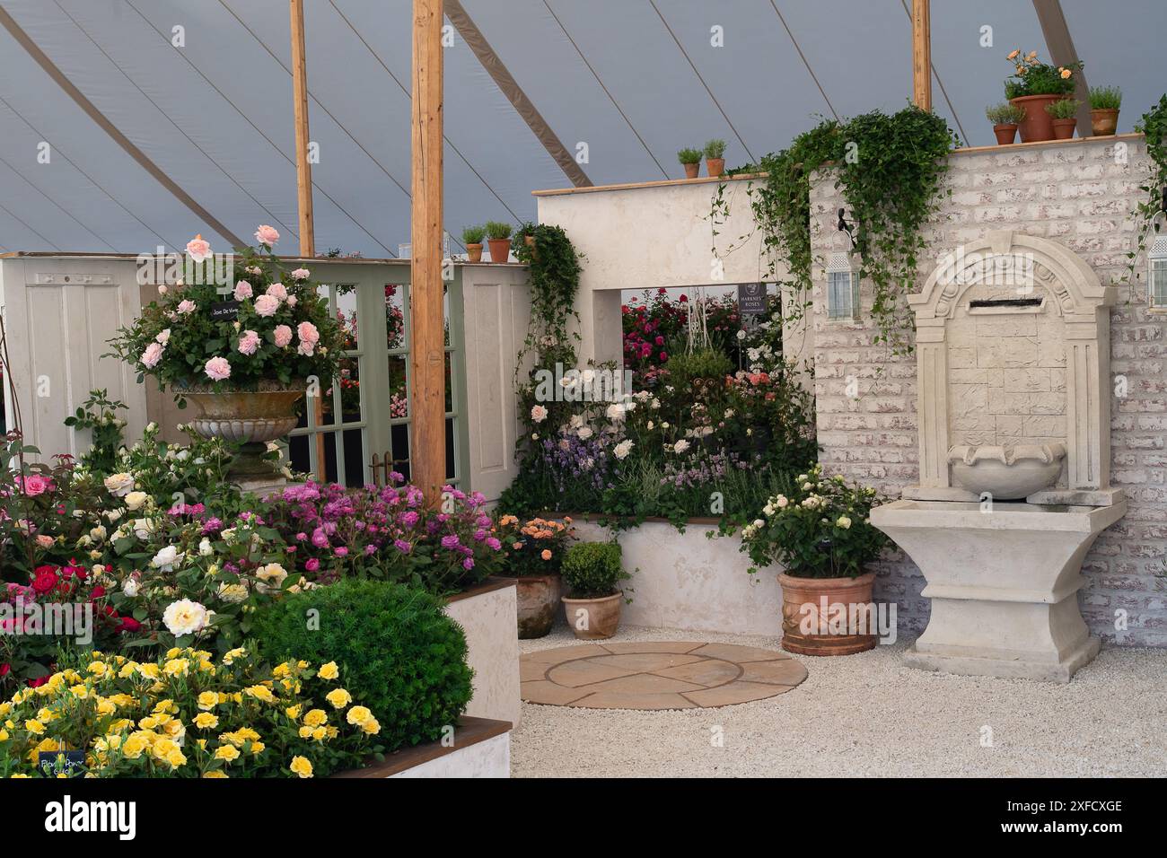 East Molesey, Surrey, UK. 1st July, 2024. The Fryer's Roses display in ...