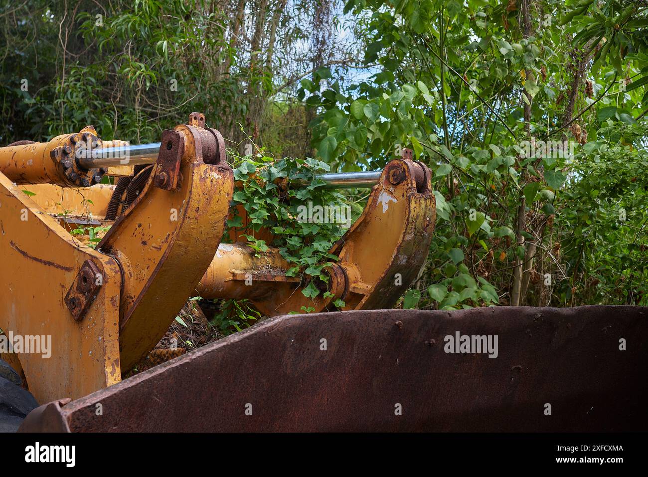 heavy construction equipment left in the forest, overgrown with plants ...