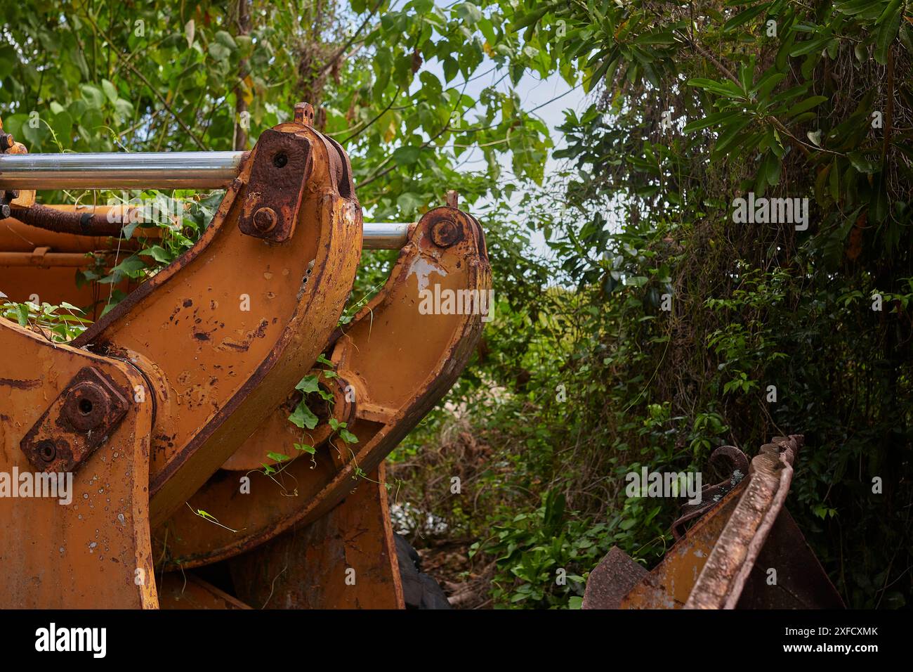 heavy construction equipment left in the forest, overgrown with plants ...