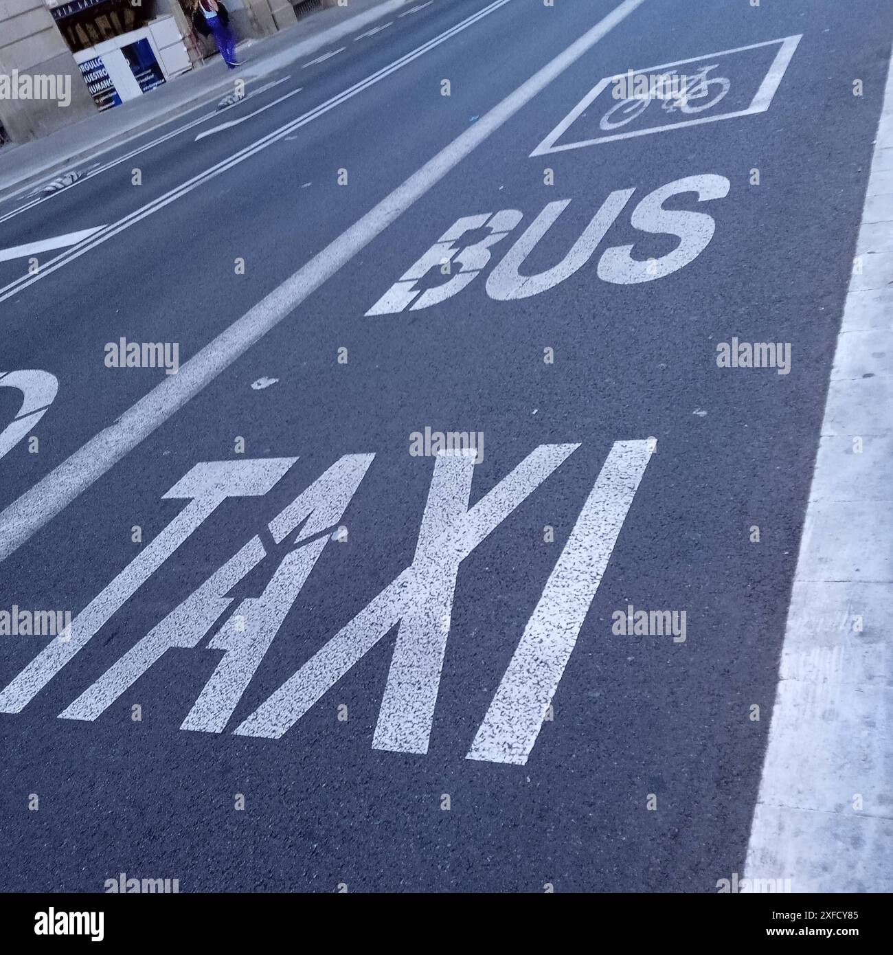 a bus lane marking on the street, public transport and road traffic bus ...