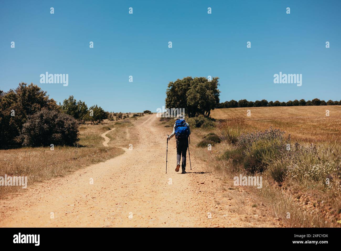 Female hiker walking across path in Basque country in Spain on the ...