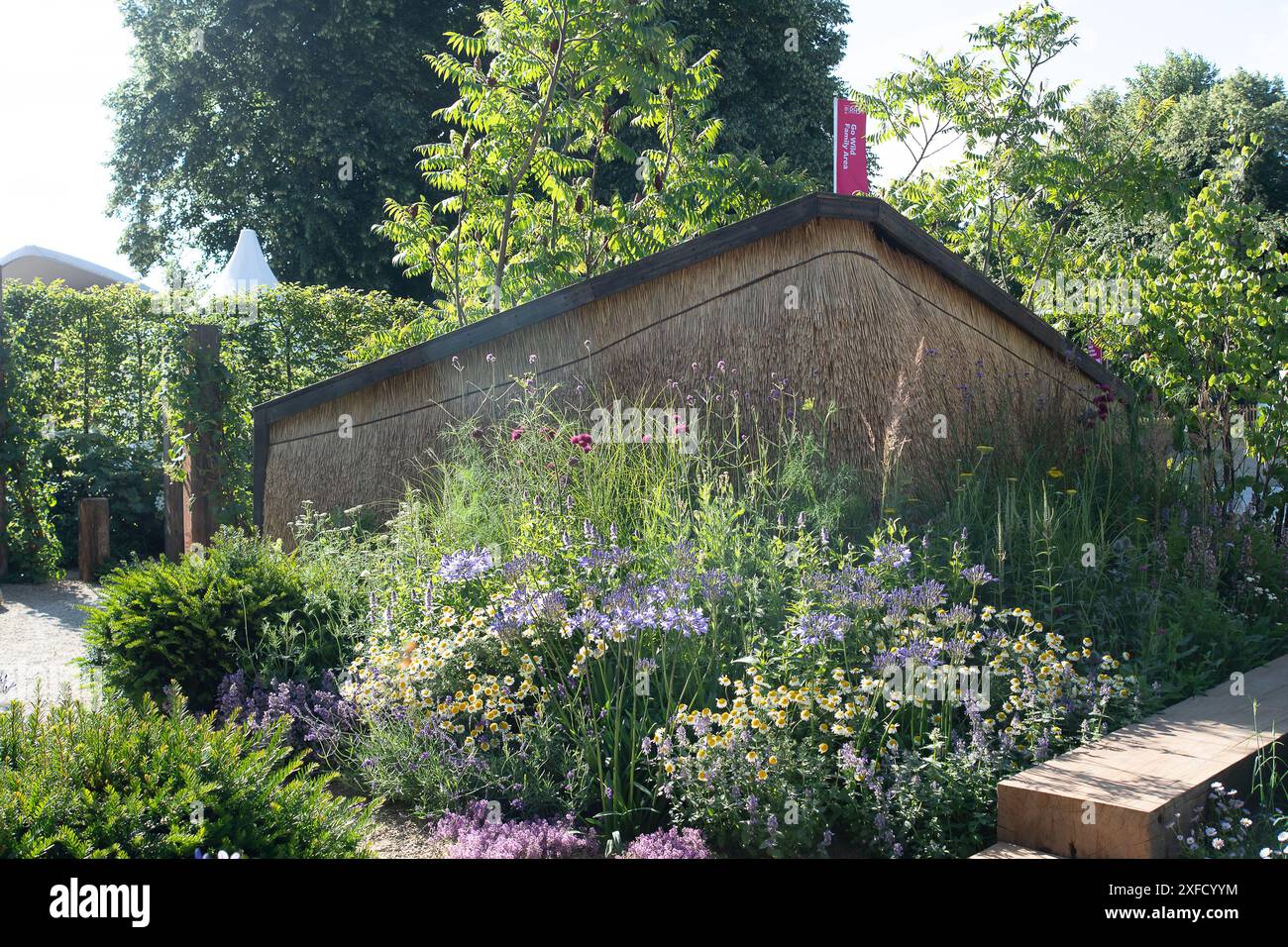 East Molesey, Surrey, UK. 1st July, 2024. One of the RHS Feature ...