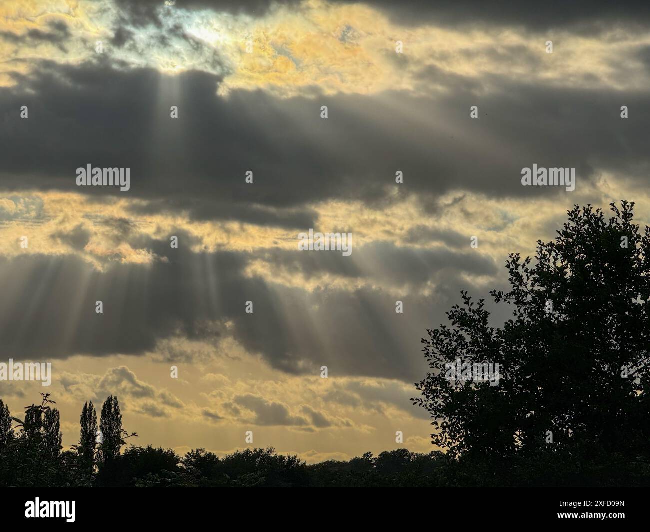 The Burys, Godalming. 02nd July 2024. A beautiful end to the day for ...