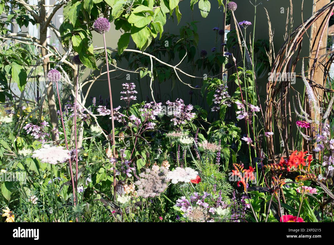 East Molesey, UK. 1st July, 2024. The Peat-Free Feature Garden at the ...