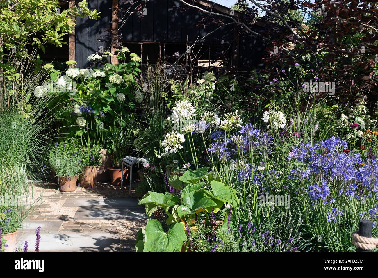 East Molesey, UK. 1st July, 2024. RHS The Money Saving Garden, one of ...