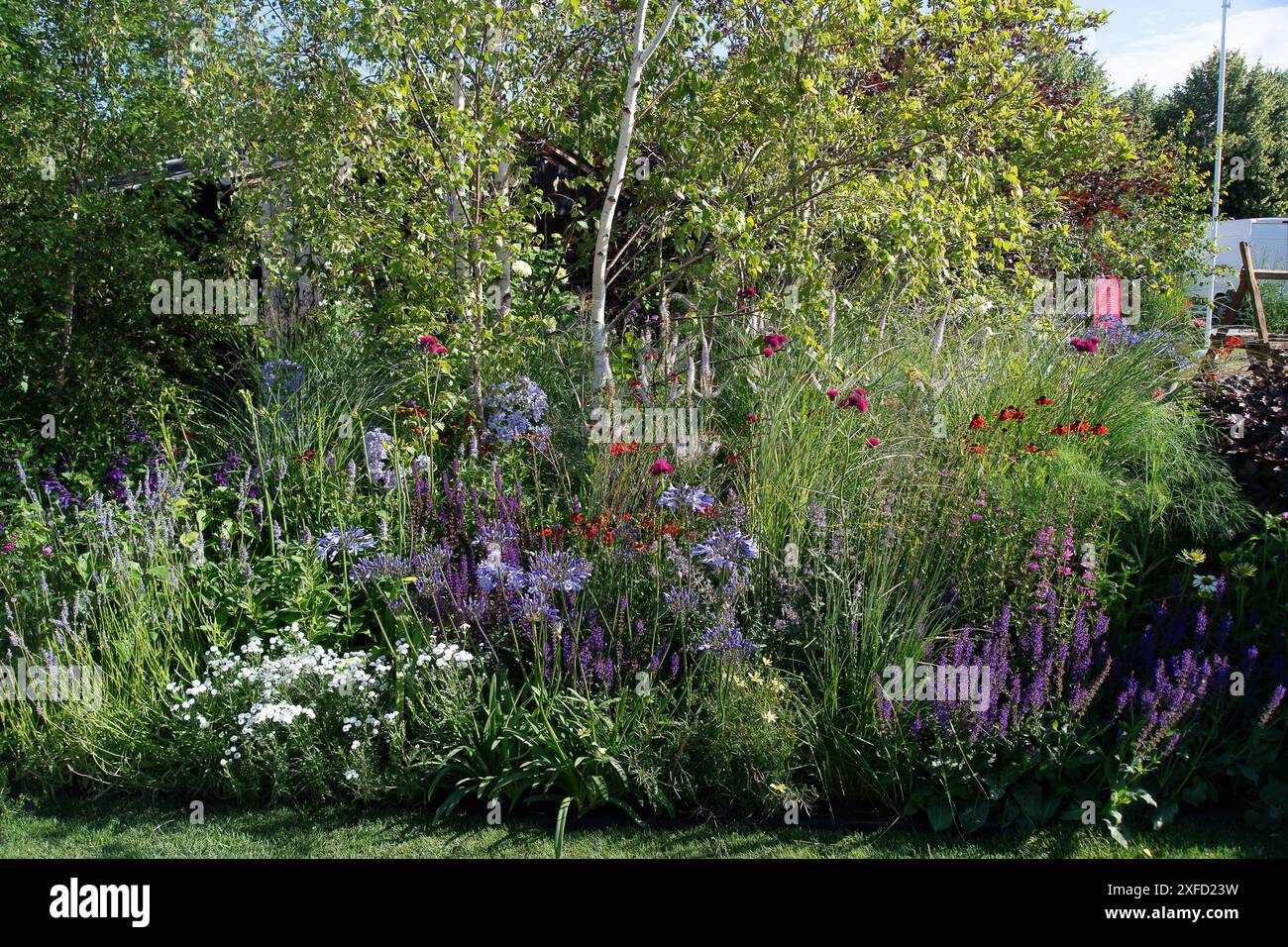 East Molesey, UK. 1st July, 2024. RHS The Money Saving Garden, one of ...