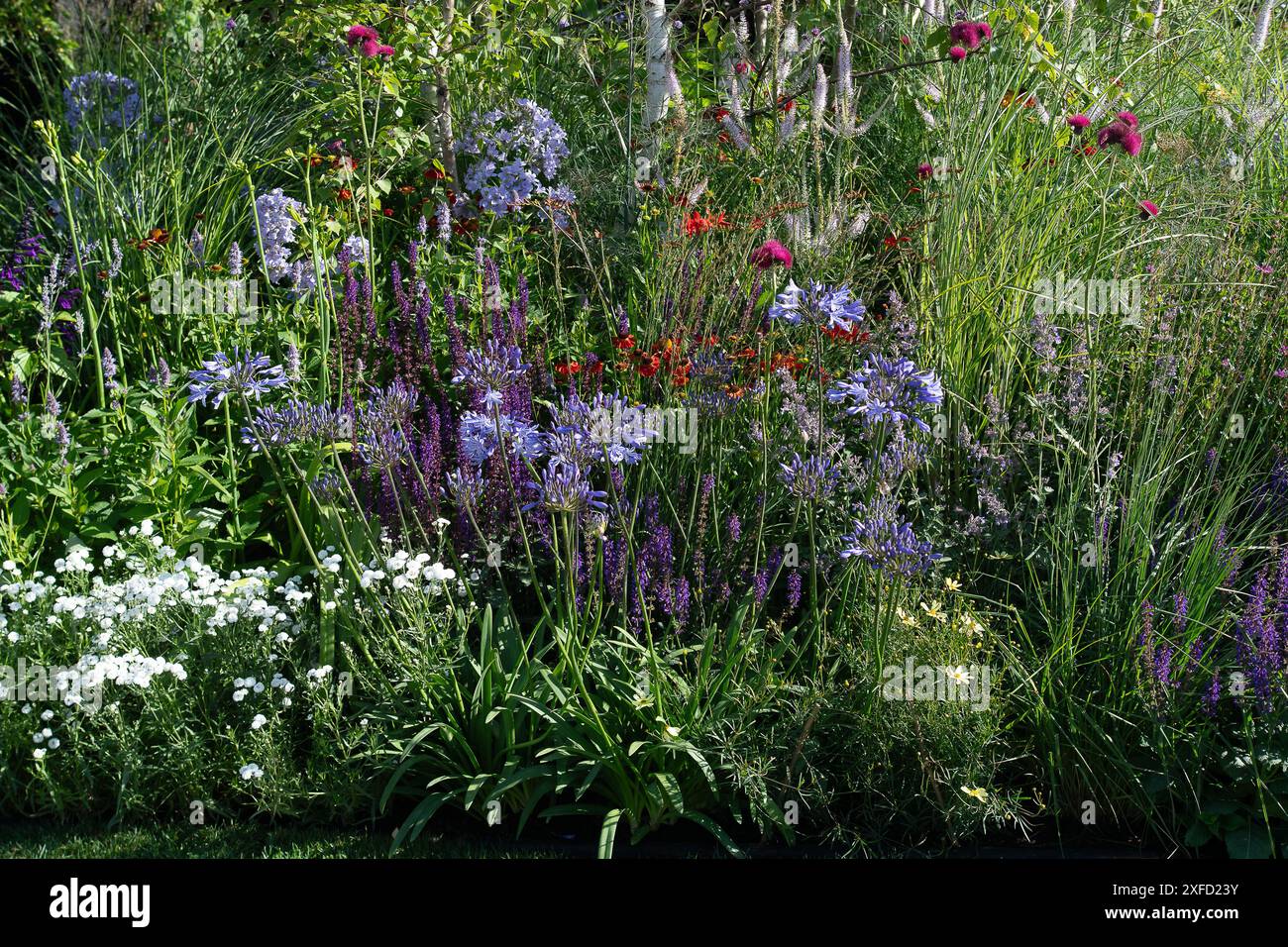 East Molesey, UK. 1st July, 2024. RHS The Money Saving Garden, one of ...
