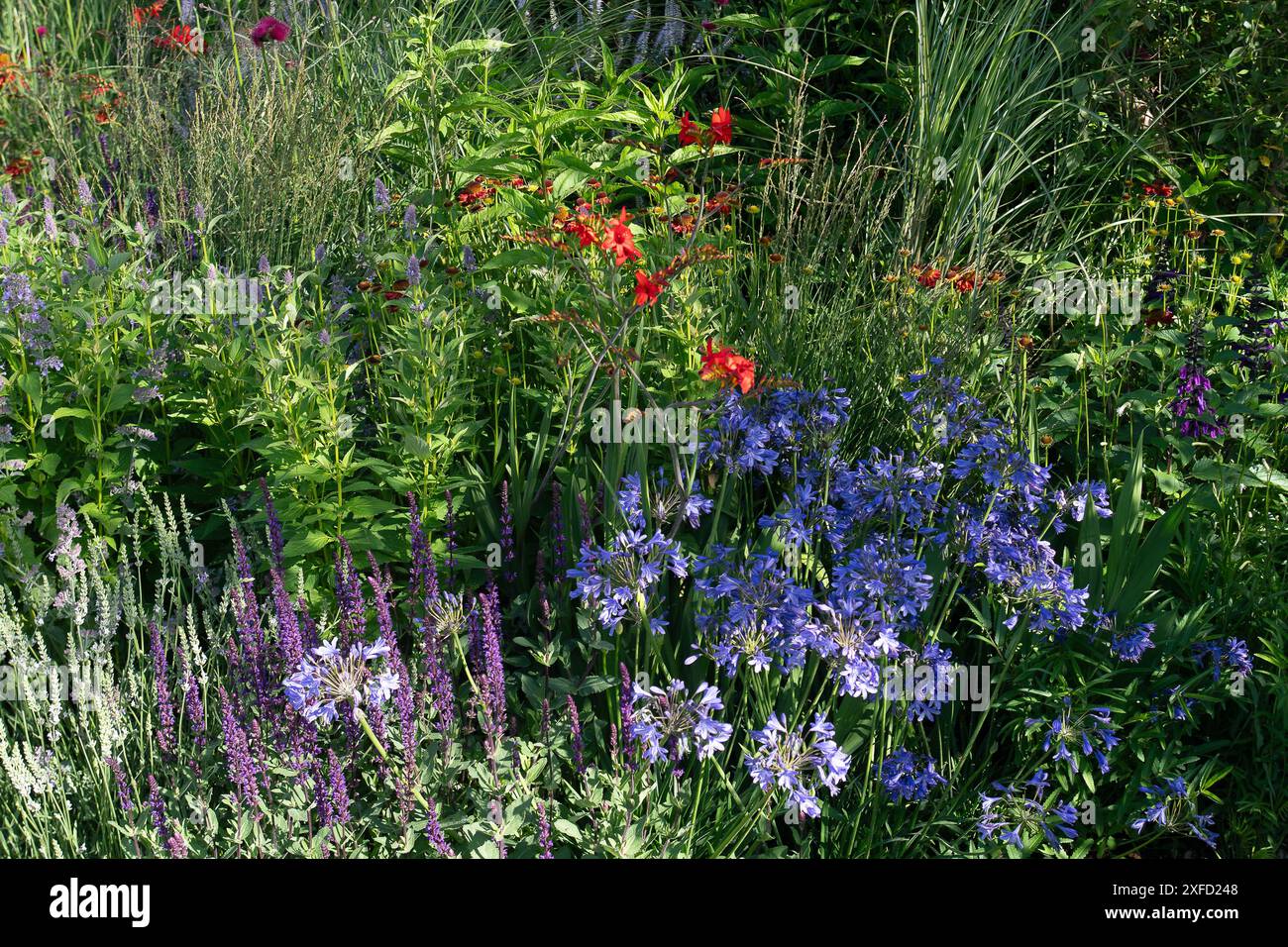 East Molesey, UK. 1st July, 2024. RHS The Money Saving Garden, one of ...