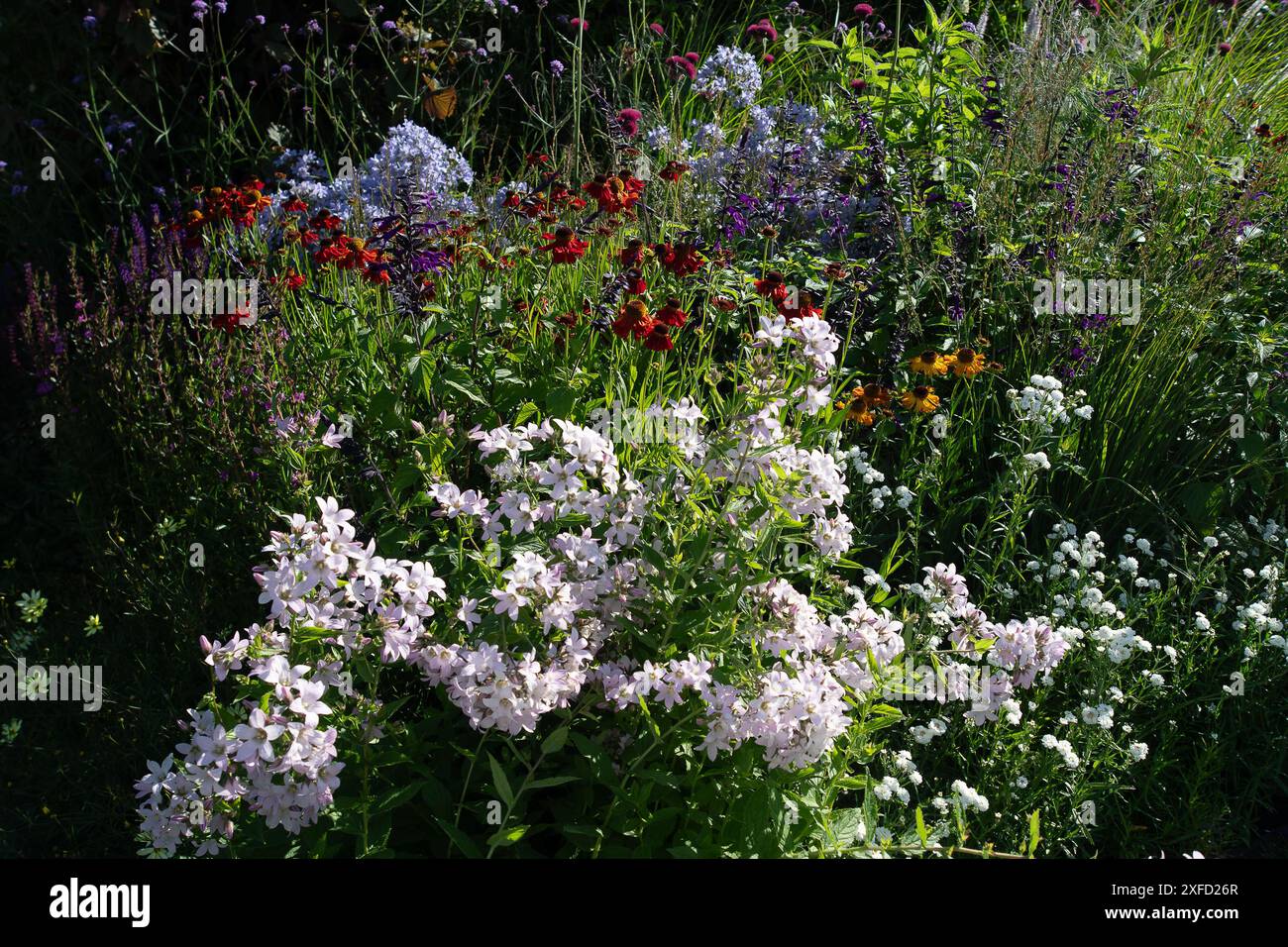 East Molesey, UK. 1st July, 2024. RHS The Money Saving Garden, one of ...