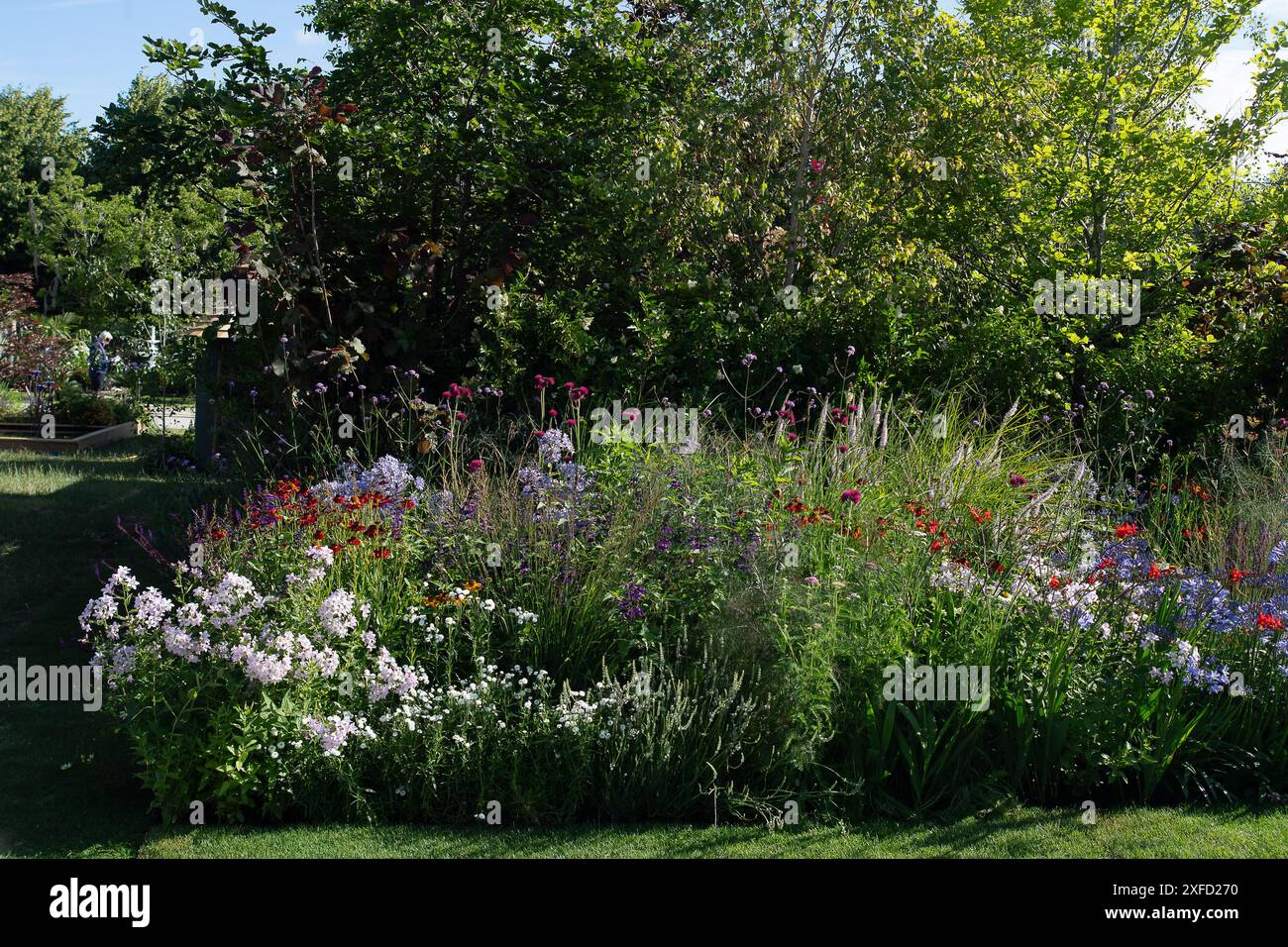 East Molesey, UK. 1st July, 2024. RHS The Money Saving Garden, one of ...
