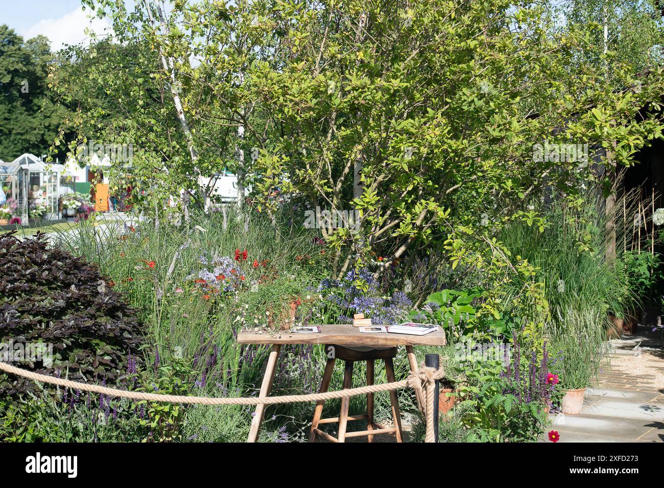 East Molesey, UK. 1st July, 2024. RHS The Money Saving Garden, one of ...