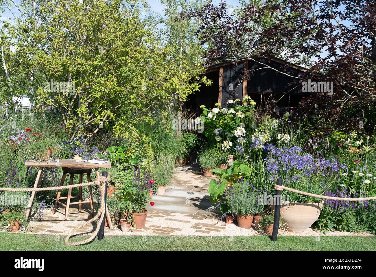 East Molesey, UK. 1st July, 2024. RHS The Money Saving Garden, one of ...
