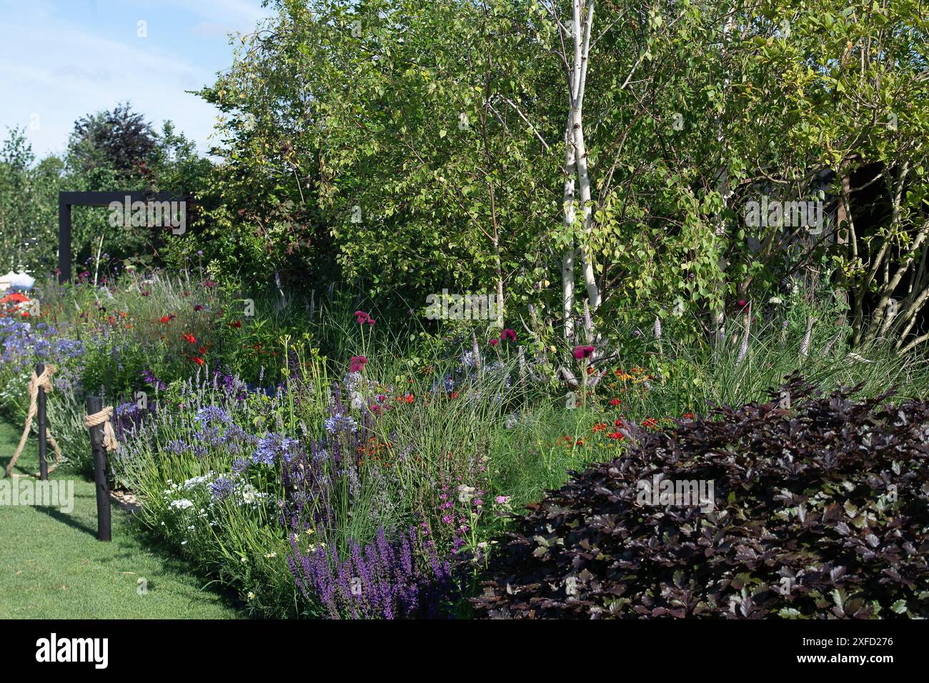 East Molesey, UK. 1st July, 2024. RHS The Money Saving Garden, one of ...