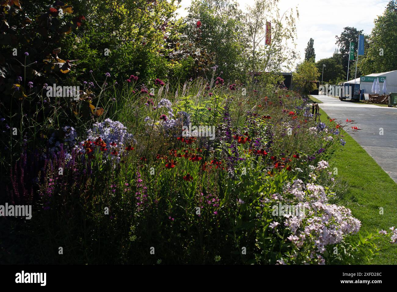 East Molesey, UK. 1st July, 2024. RHS The Money Saving Garden, one of ...