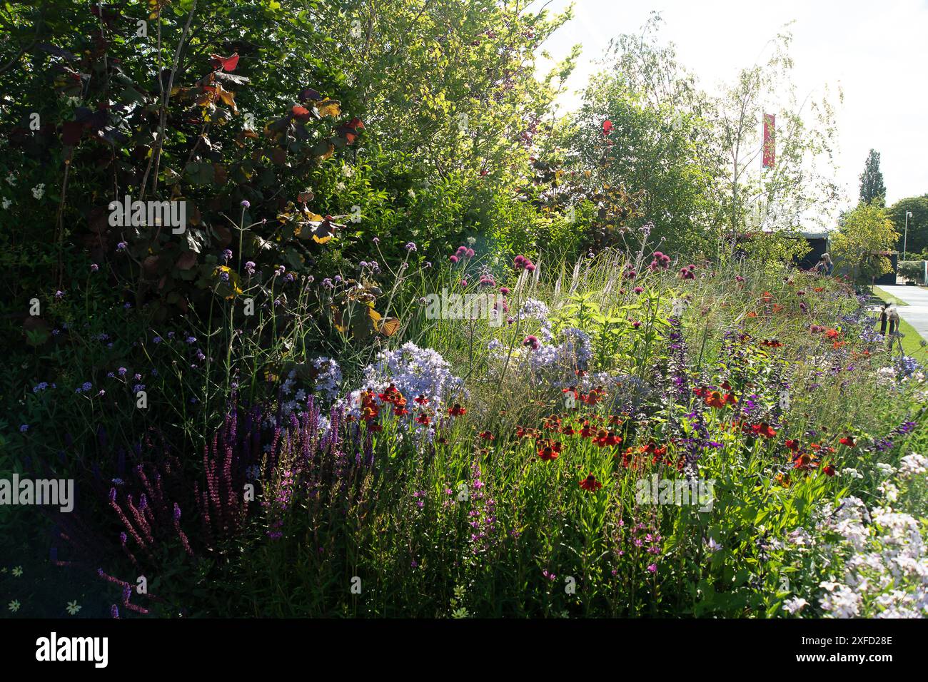 East Molesey, UK. 1st July, 2024. RHS The Money Saving Garden, one of ...