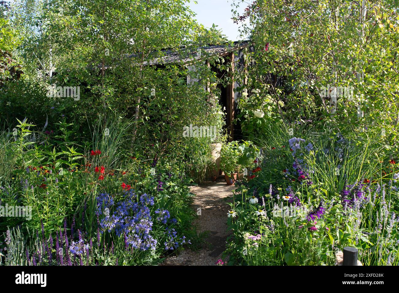East Molesey, UK. 1st July, 2024. RHS The Money Saving Garden, one of ...