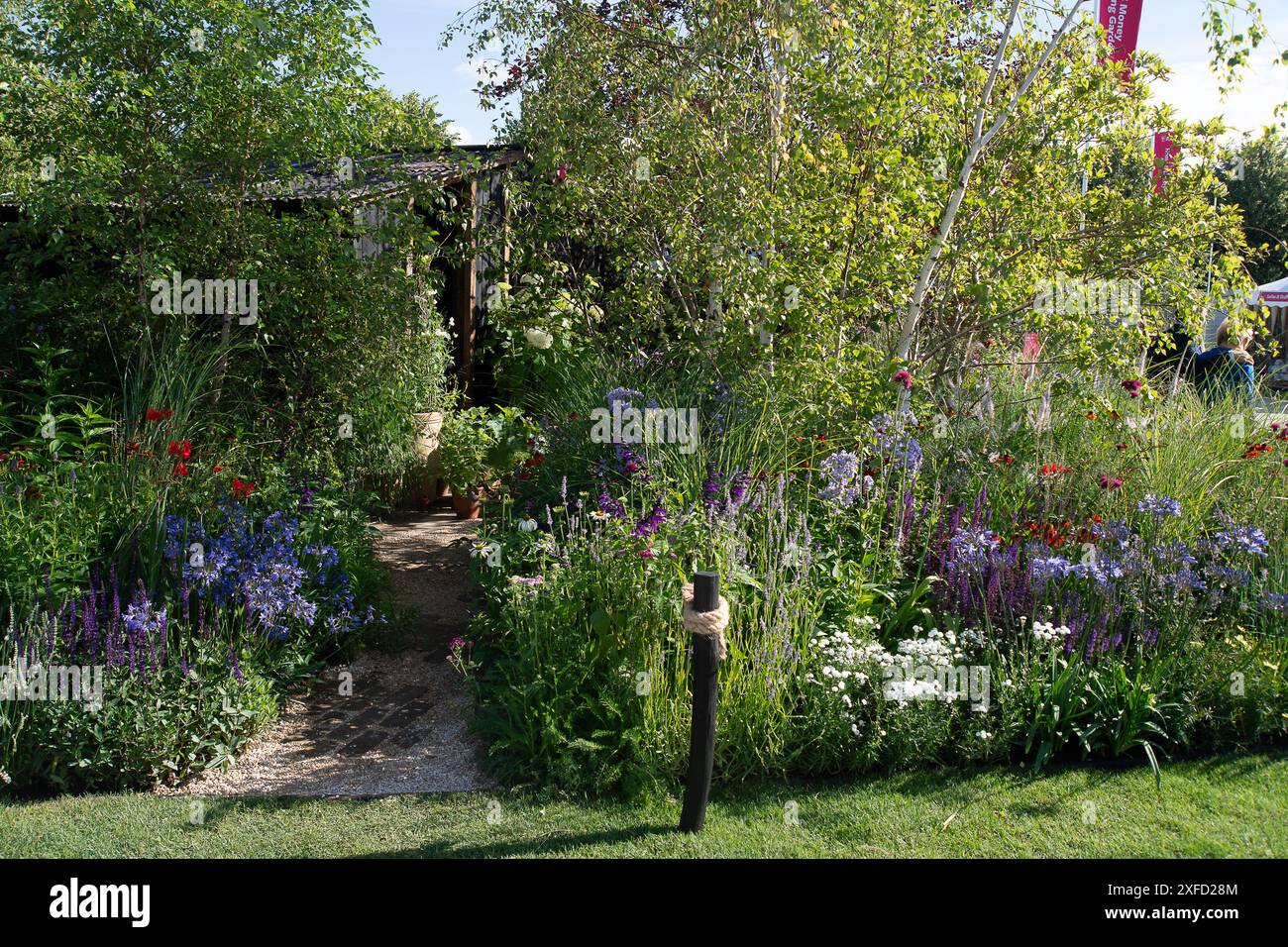 East Molesey, UK. 1st July, 2024. RHS The Money Saving Garden, one of ...
