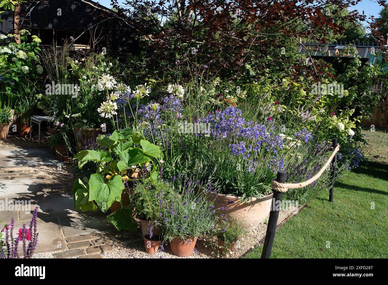 East Molesey, UK. 1st July, 2024. RHS The Money Saving Garden, one of ...