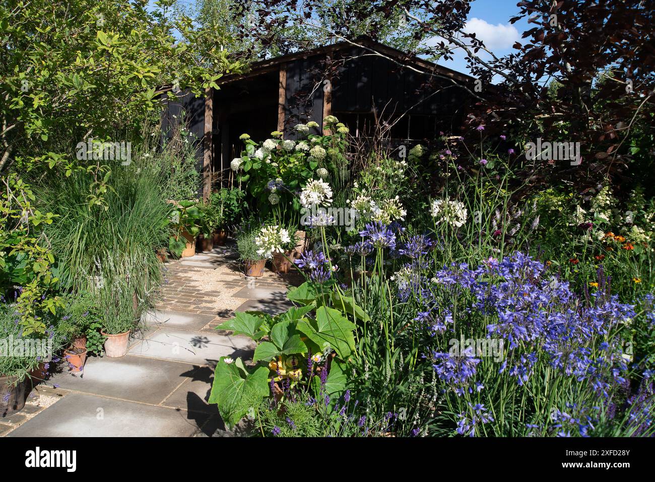 East Molesey, UK. 1st July, 2024. RHS The Money Saving Garden, one of ...