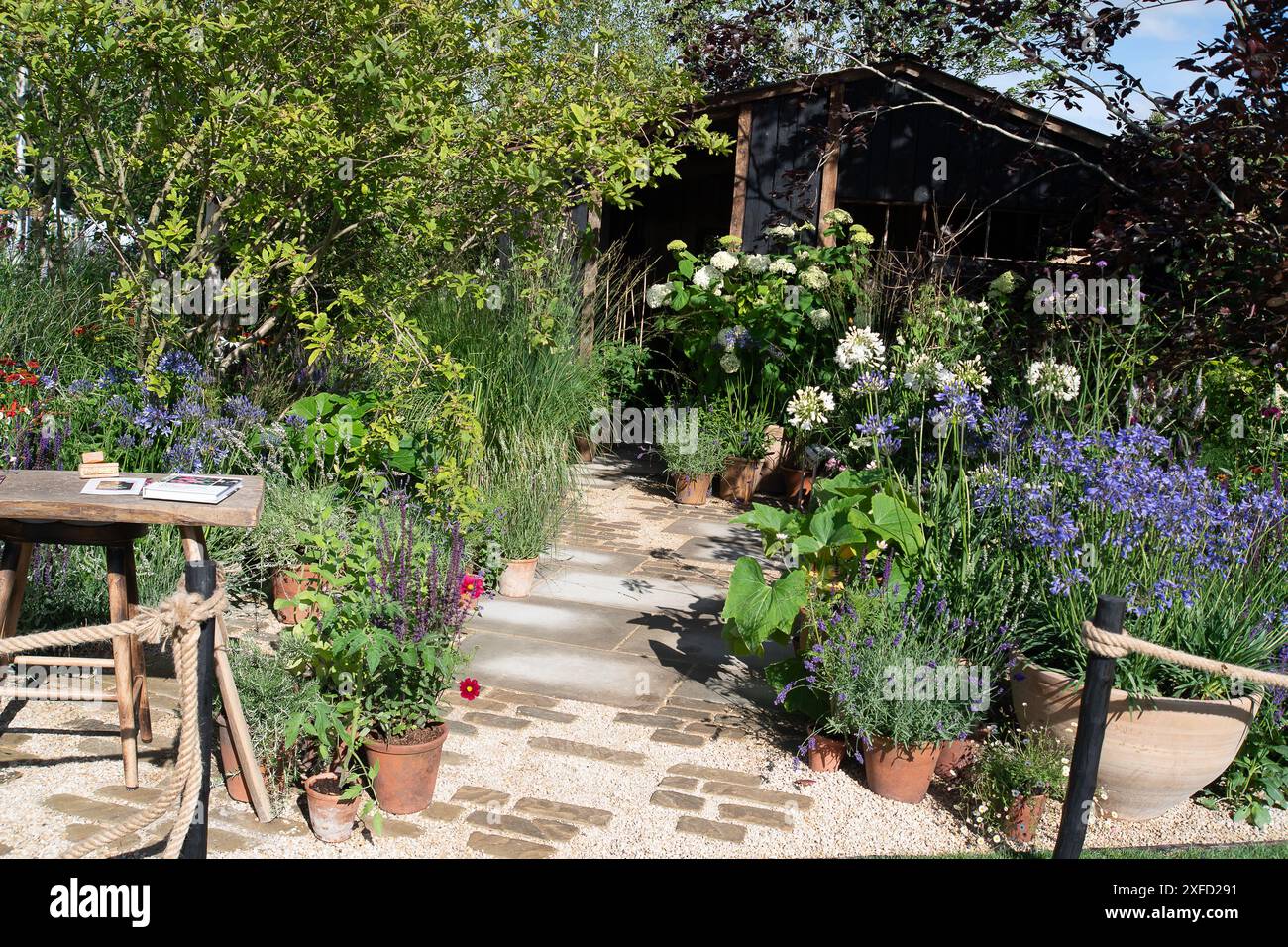East Molesey, UK. 1st July, 2024. RHS The Money Saving Garden, one of ...