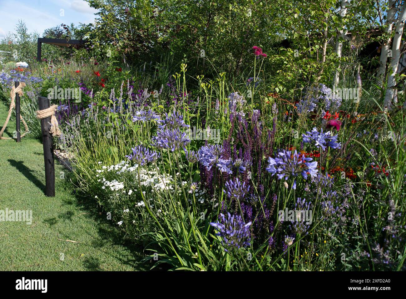 East Molesey, UK. 1st July, 2024. RHS The Money Saving Garden, one of ...