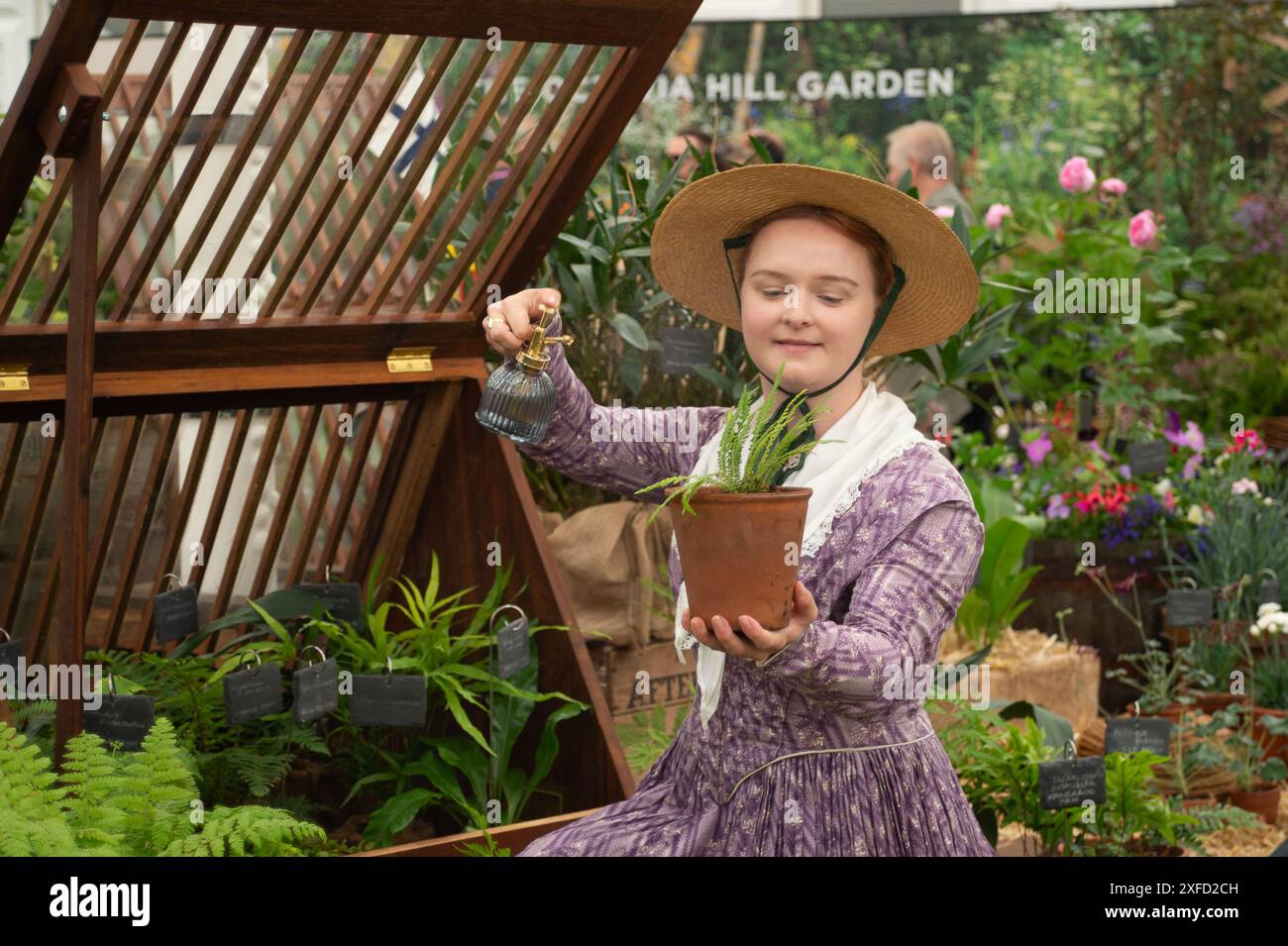 East Molesey, UK. 1st July, 2024. A Victorian botanist mists ferns in ...
