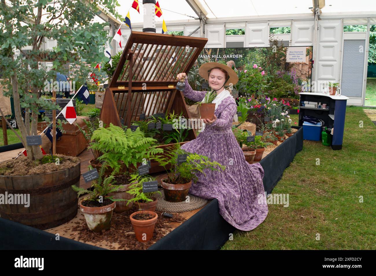 East Molesey, UK. 1st July, 2024. A Victorian botanist mists ferns in ...
