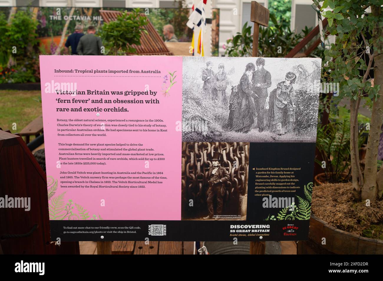 East Molesey, UK. 1st July, 2024. A Victorian botanist mists ferns in ...