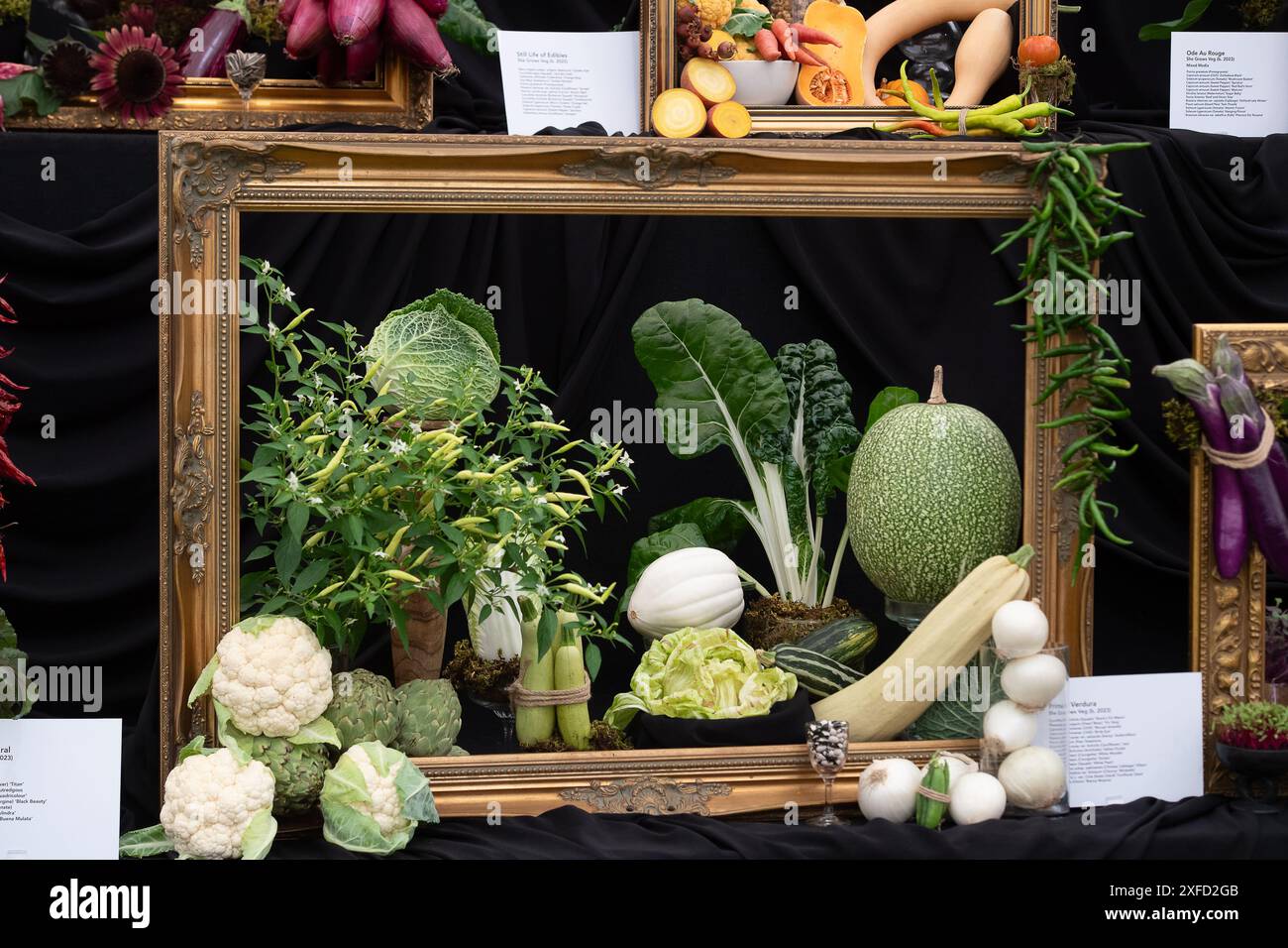 East Molesey, UK. 1st July, 2024. The She Grows Veg framed vegetable ...