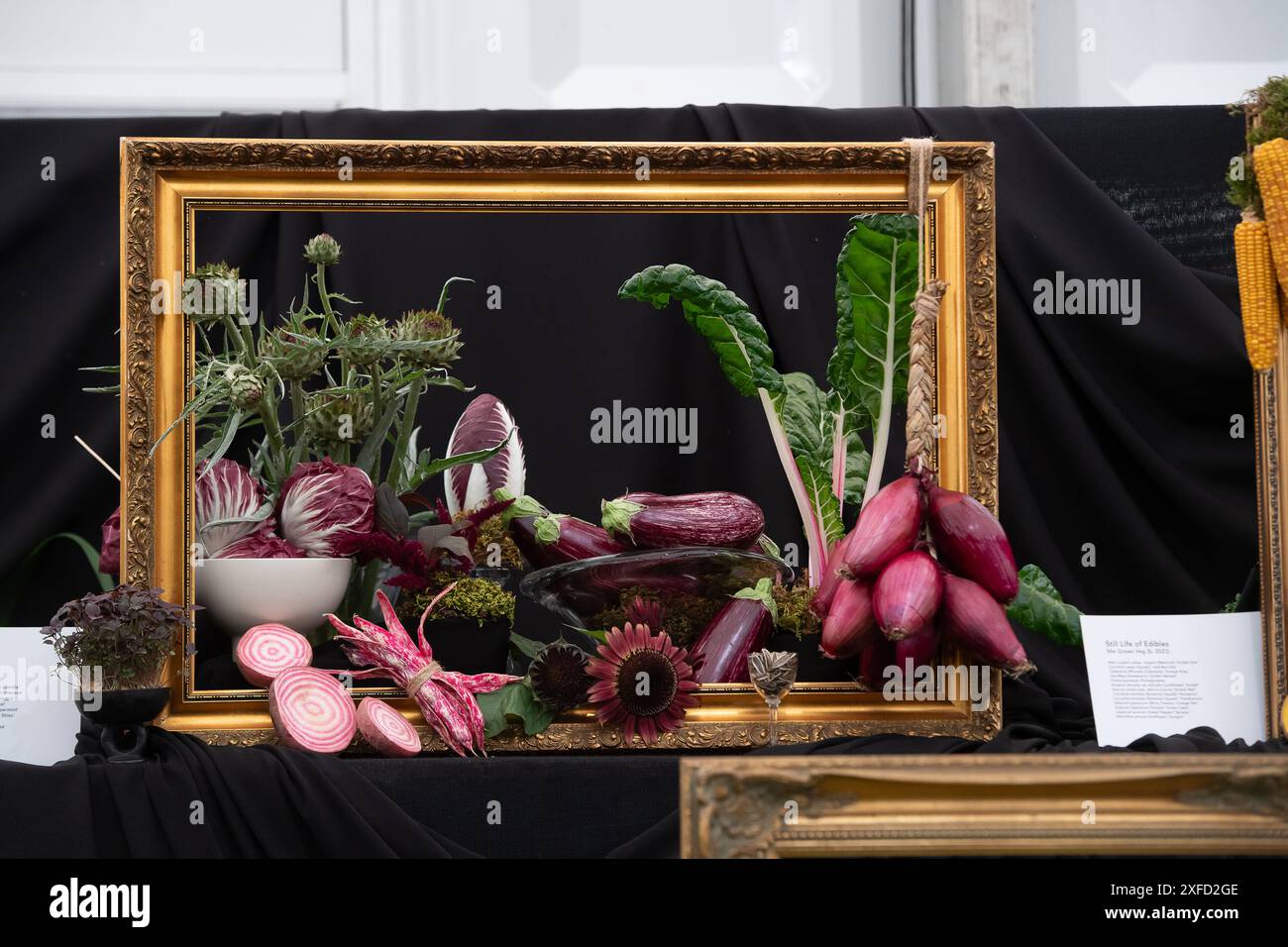 East Molesey, UK. 1st July, 2024. The She Grows Veg framed vegetable ...