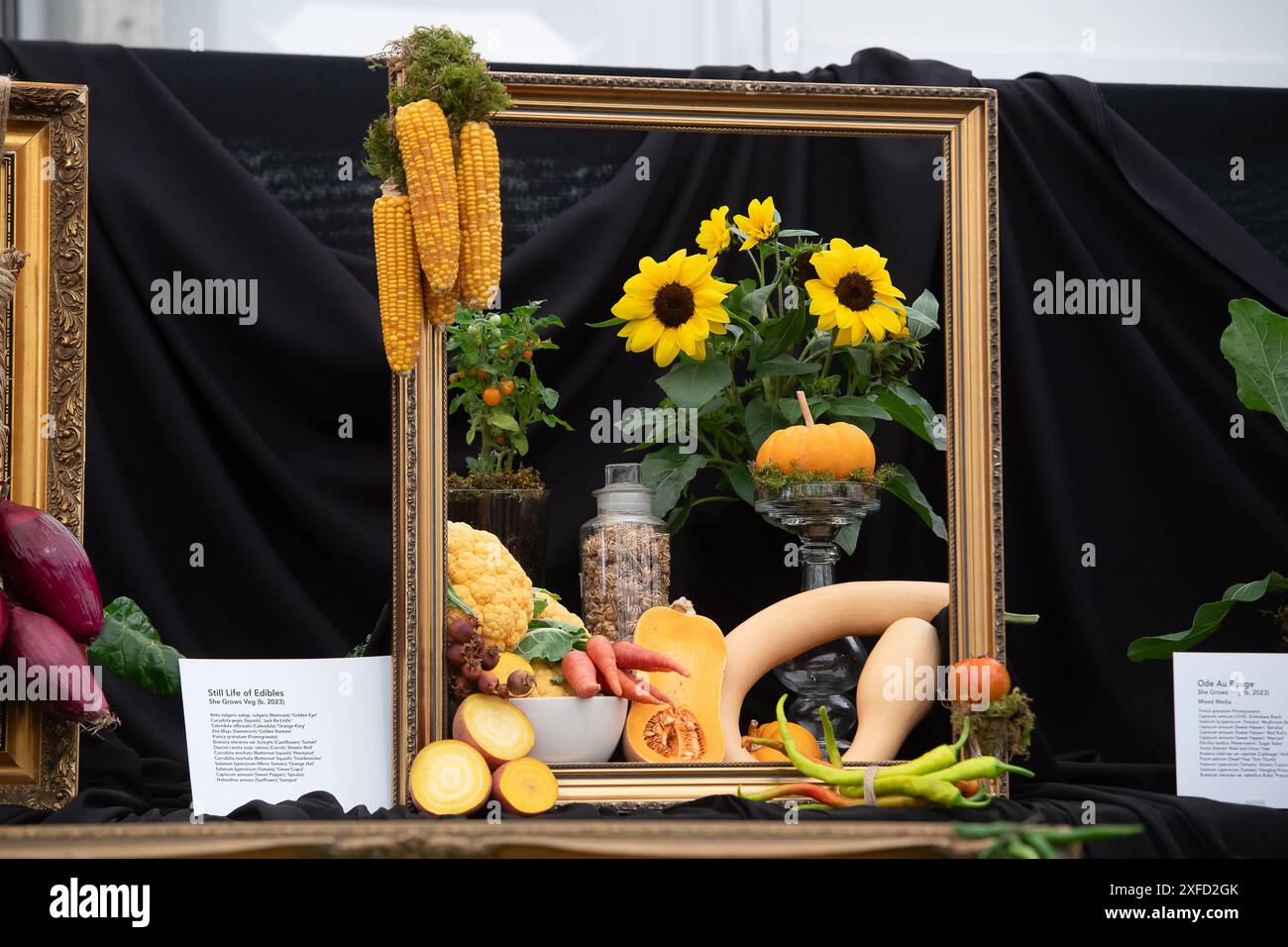 East Molesey, UK. 1st July, 2024. The She Grows Veg framed vegetable ...
