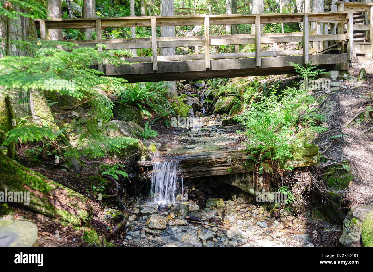 Uphill pathway leading to the Cascade Falls located Northeast of ...