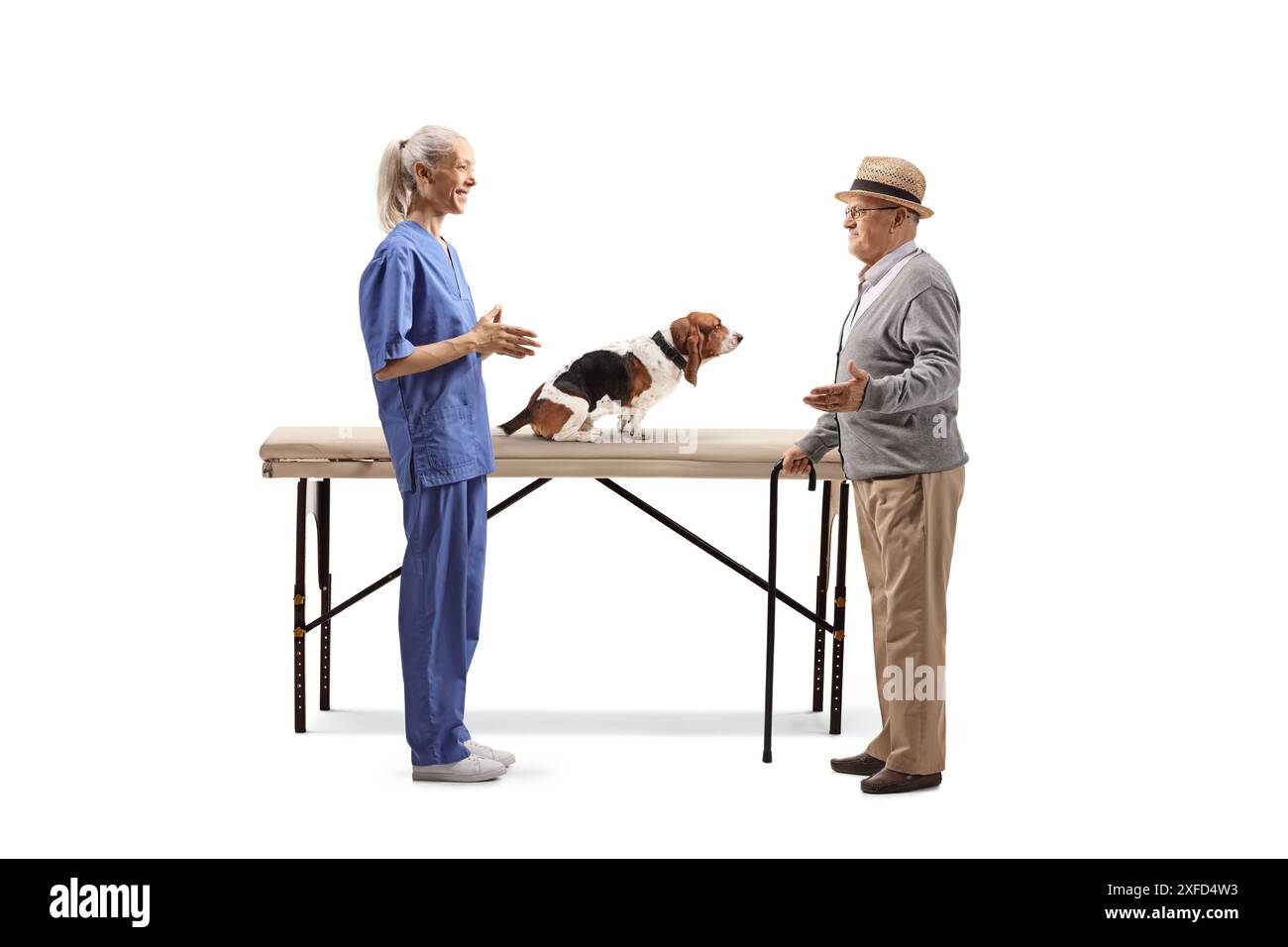 Female veterinarian talking to a basset hound dog owner isolated on ...
