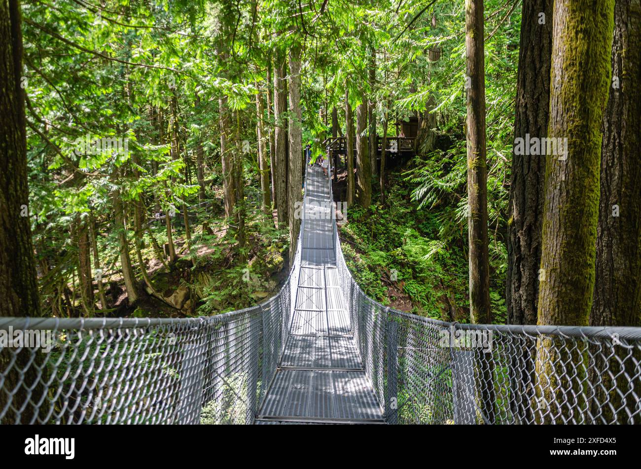 Steel rope bridge across Kettle River near Cascade Falls located ...