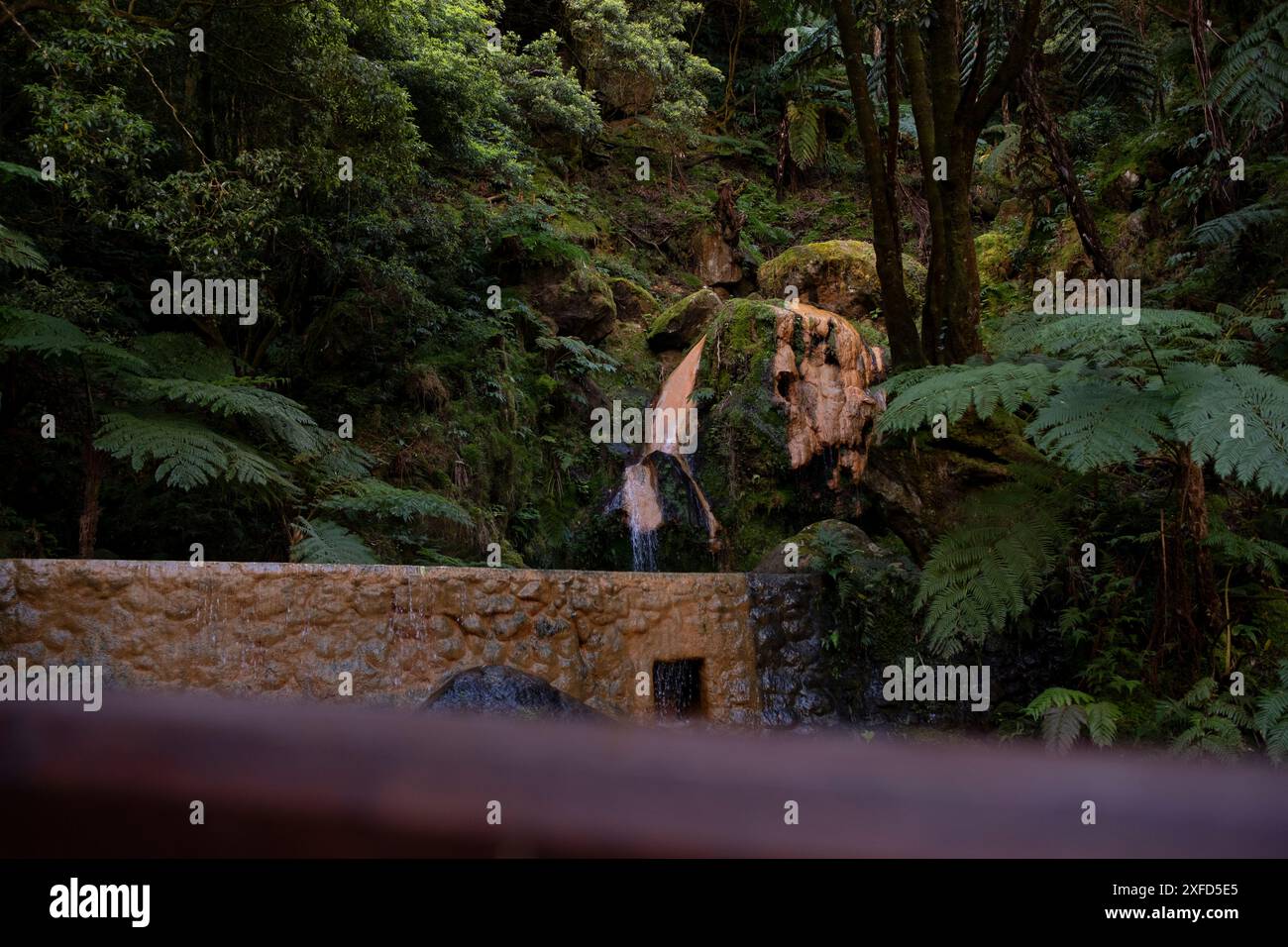 Caldeira Velha. Most famous hot springs in Sao Miguel located on ...