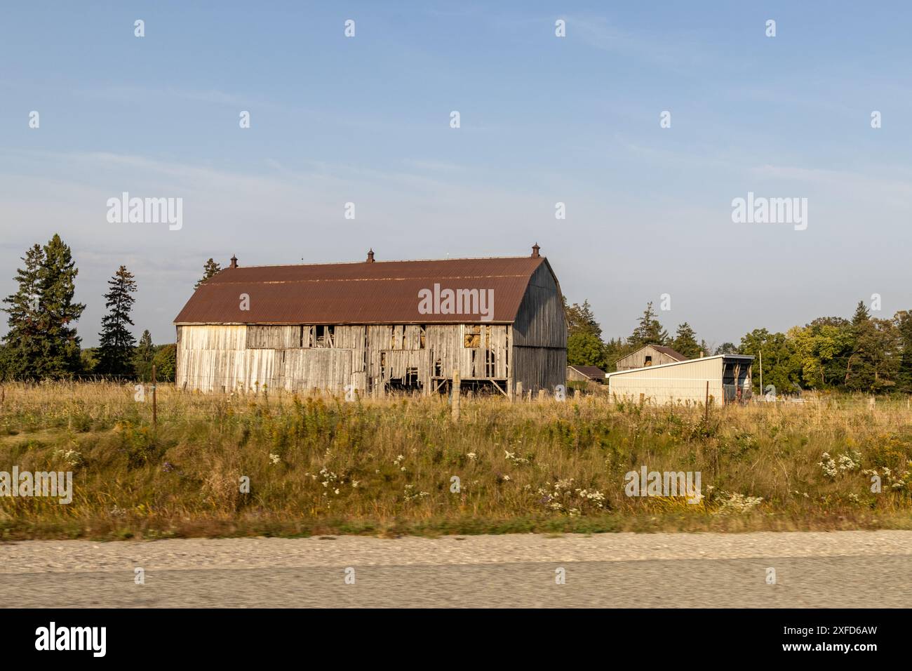 Rustic barn amidst overgrown grass – clear blue sky backdrop – rural ...