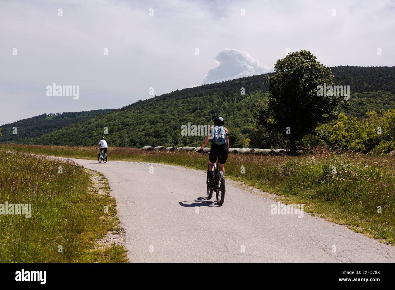 Back view of two road cyclists, male and female during training at ...