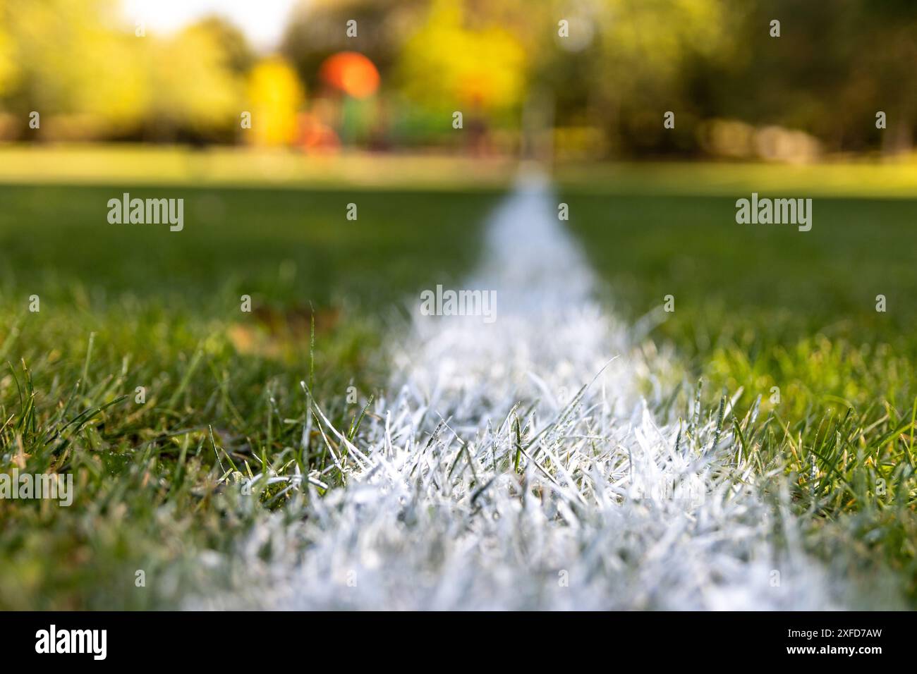 White painted line on vibrant green grass - sports field marking in ...