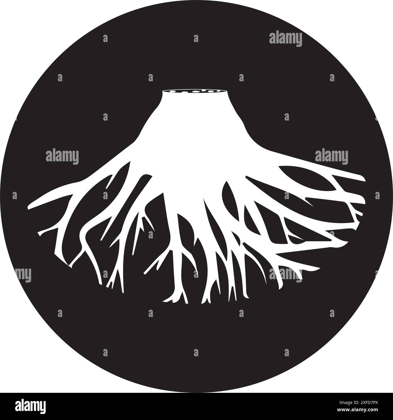 tree root icon vector illustration symbol design Stock Vector Image ...