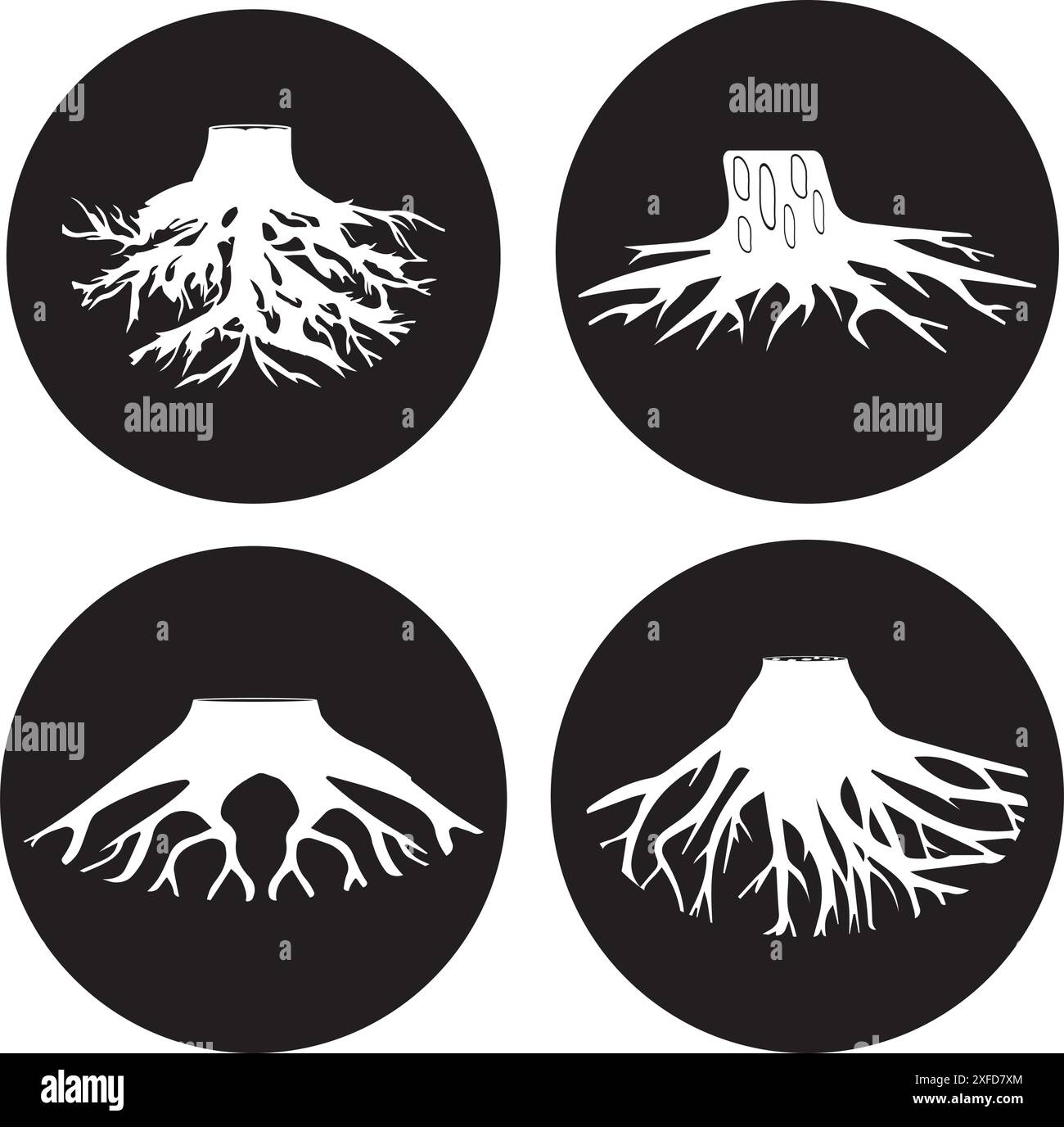 Dead oak branch Stock Vector Images - Alamy