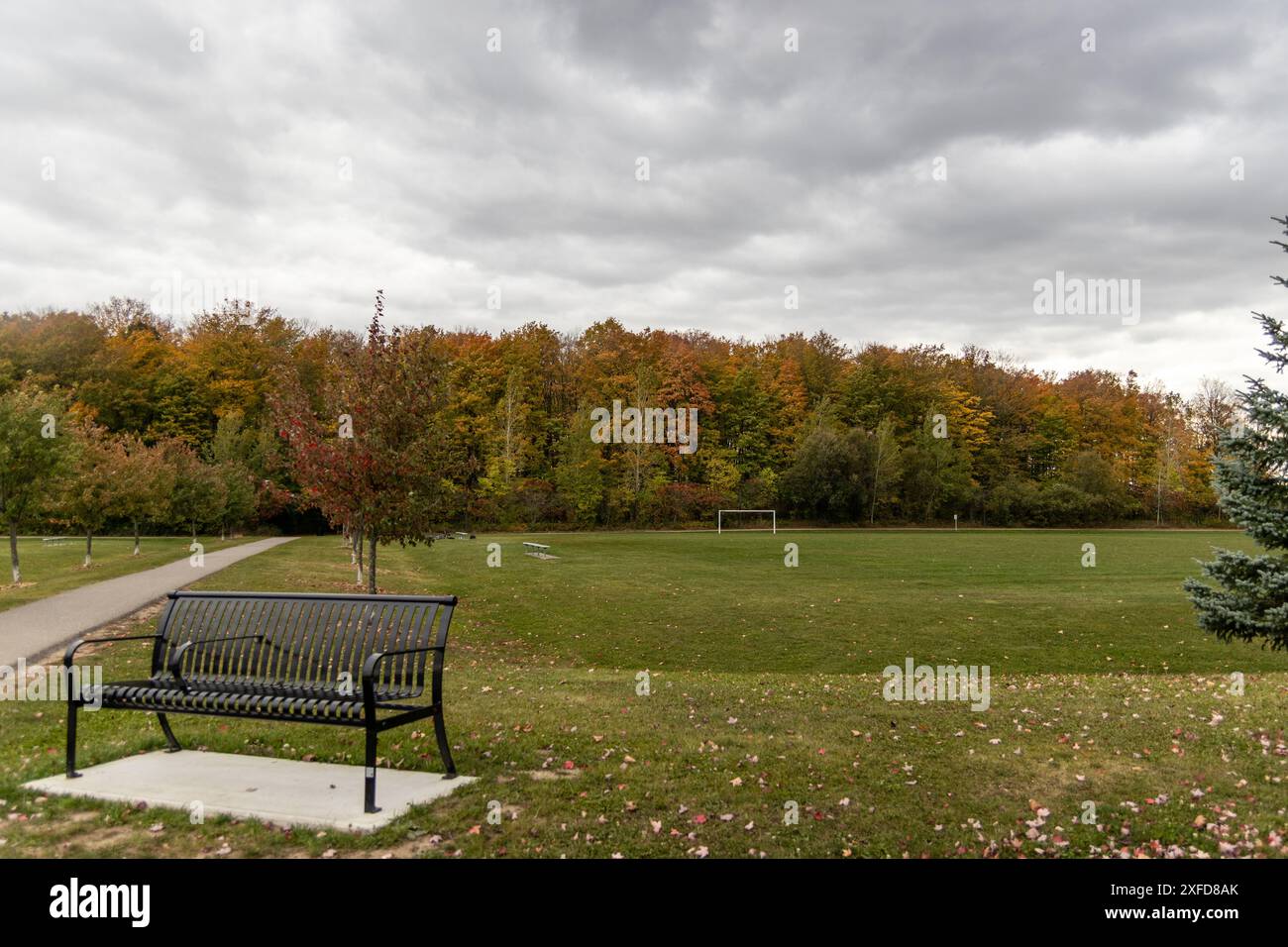 Empty park bench - vibrant autumn trees - overcast sky - winding ...