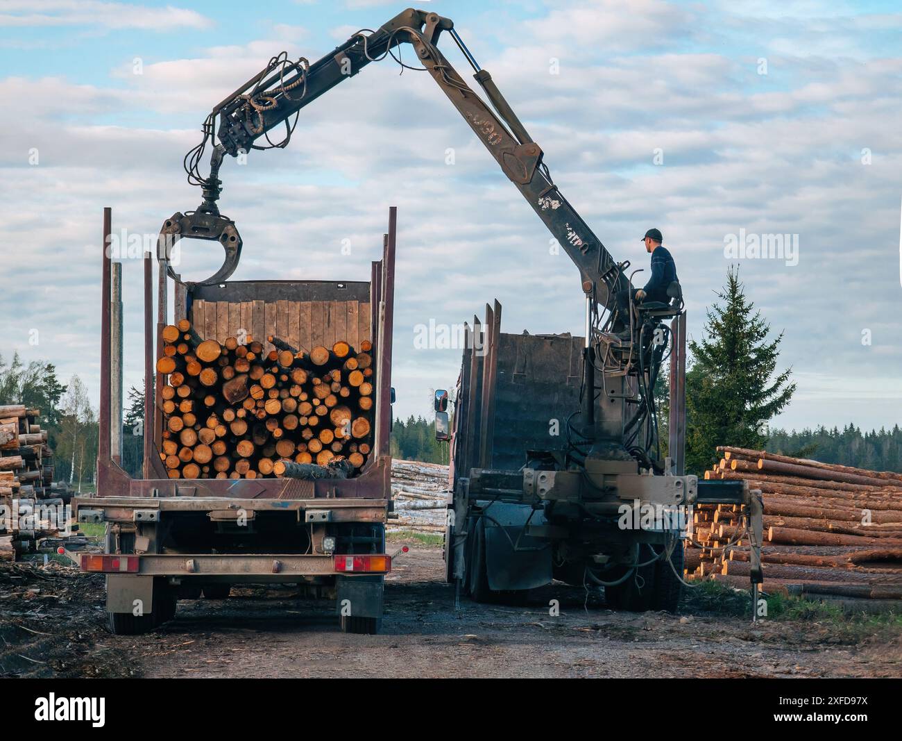 Loading logs using hydraulic machinery on logging truck Stock Photo - Alamy
