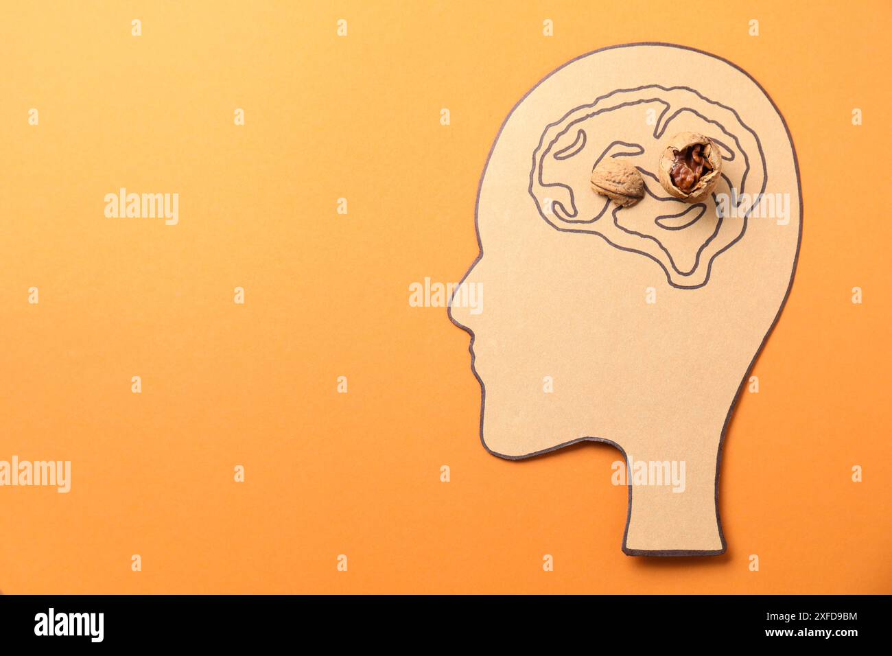 Amnesia problem. Paper cutout of human head, brain drawing and broken ...
