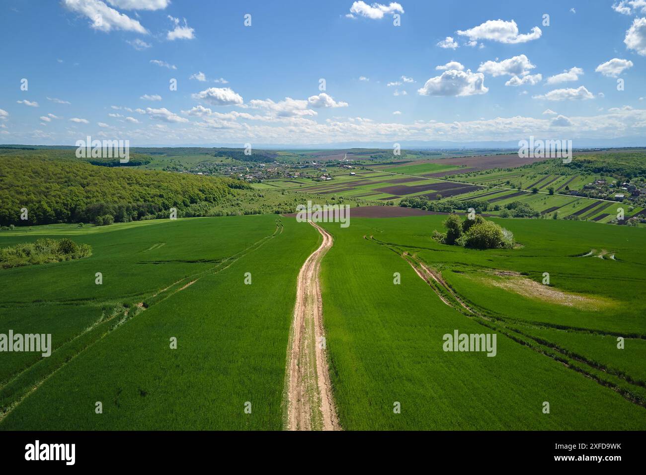 Aerial landscape of green farmland in summer season with growing crops ...