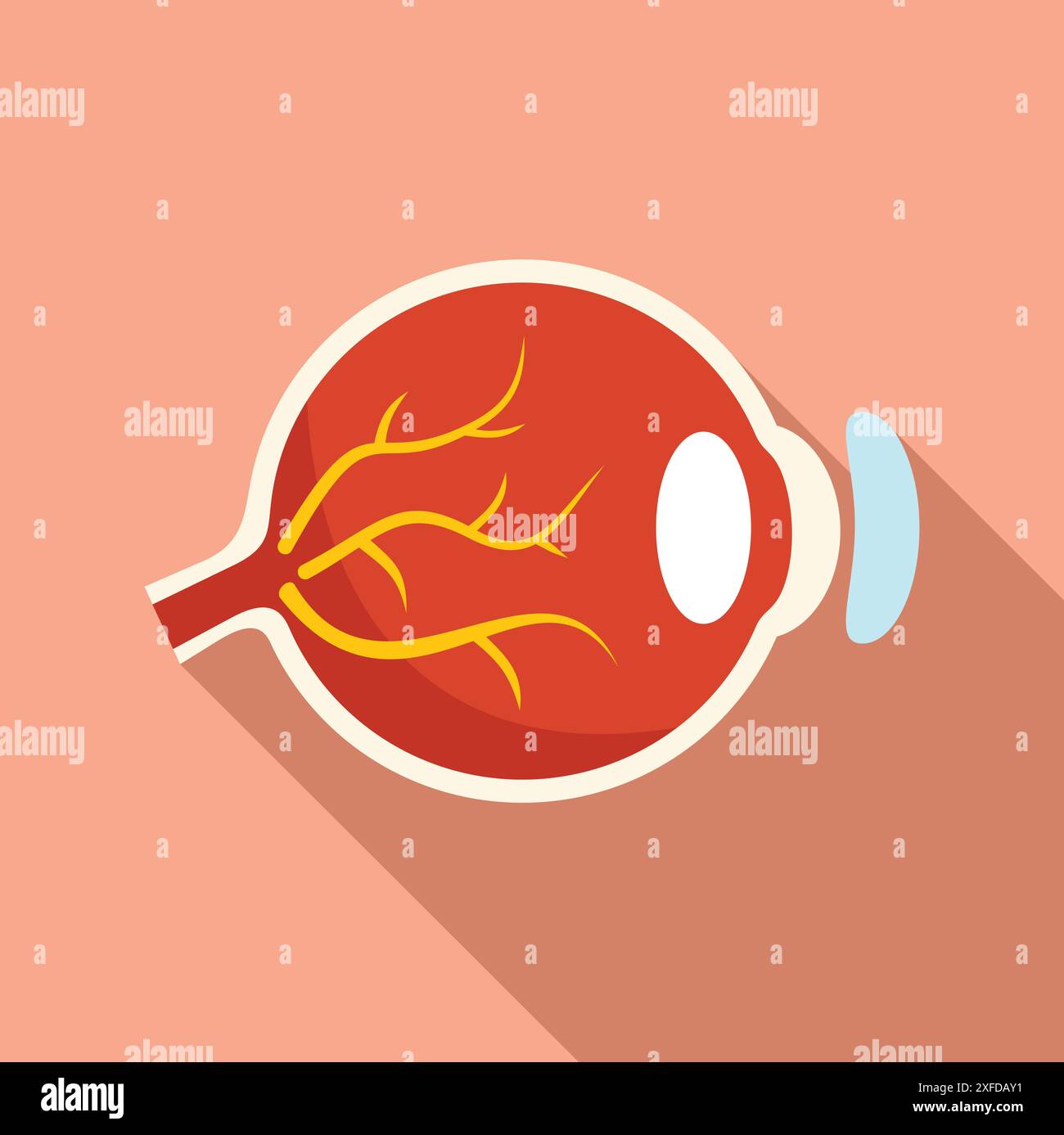 Illustration featuring the anatomical structure of a human eye ...