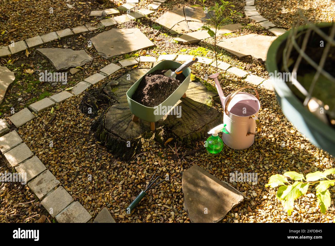 Gardening tools and soil in wheelbarrow on tree stump in backyard ...