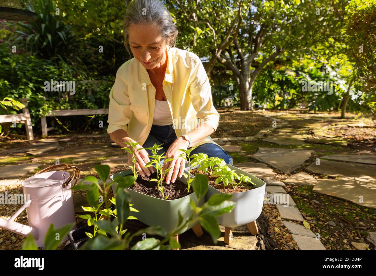 Gardening outdoors, mature woman planting seedlings in pots with ...