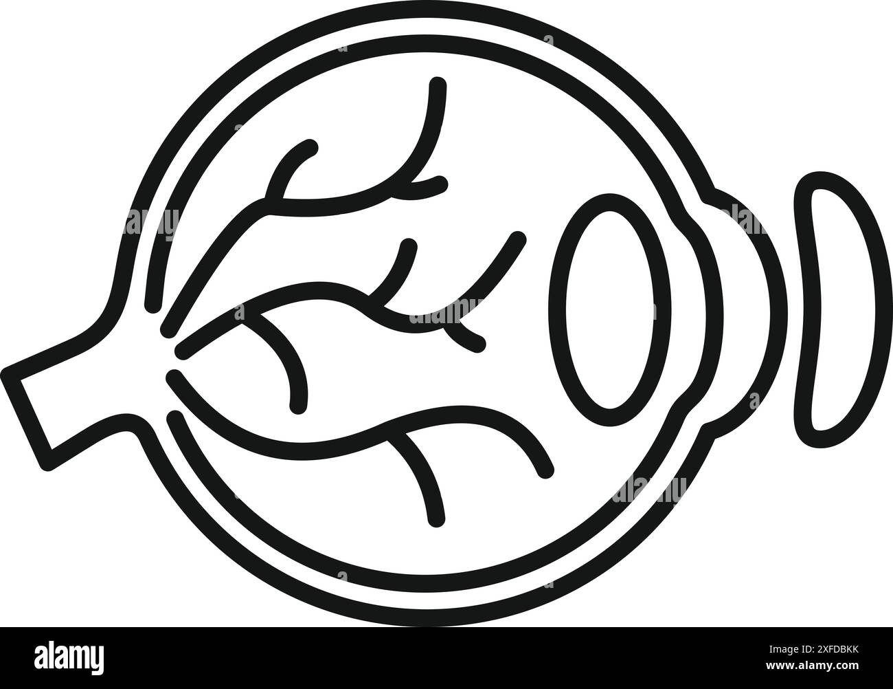 This simple icon depicts a human eye with blood vessels, optic nerve ...